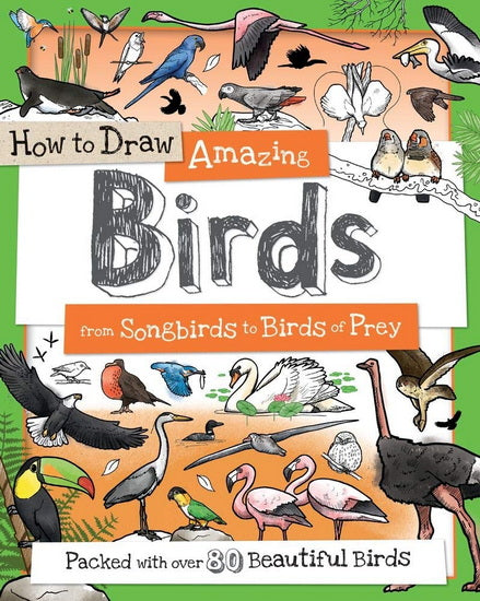 How to Draw Amazing Birds – DeSerres