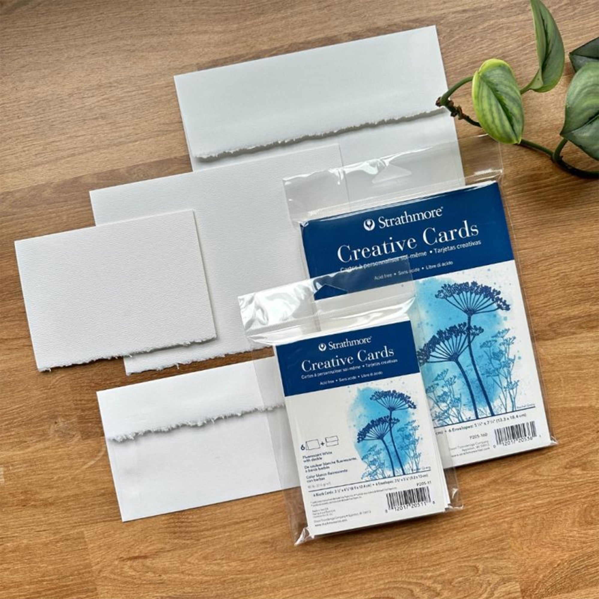 Deckled edge creative cards, Fluorescent White &VerticalLine; DeSerres