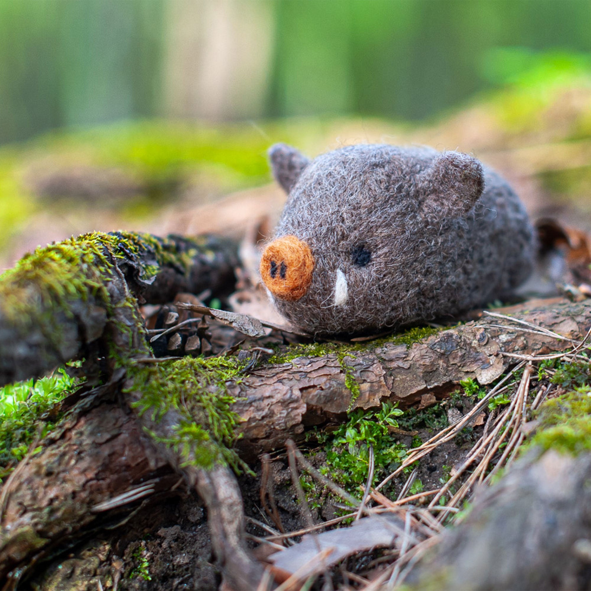 Needle Felting Kit - Boar &VerticalLine; DeSerres