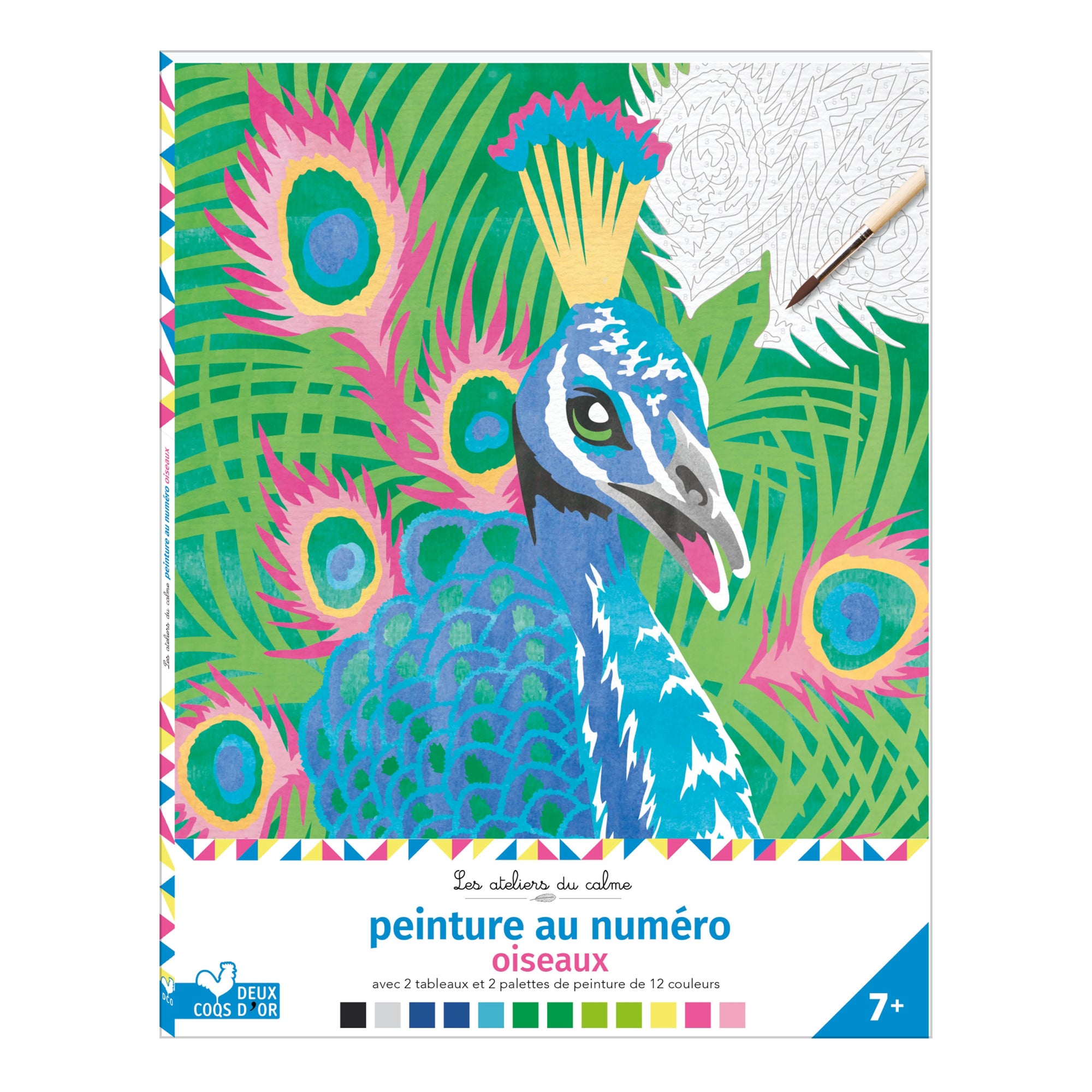 Peinture au numéro oiseaux - French Ed. &VerticalLine; DeSerres