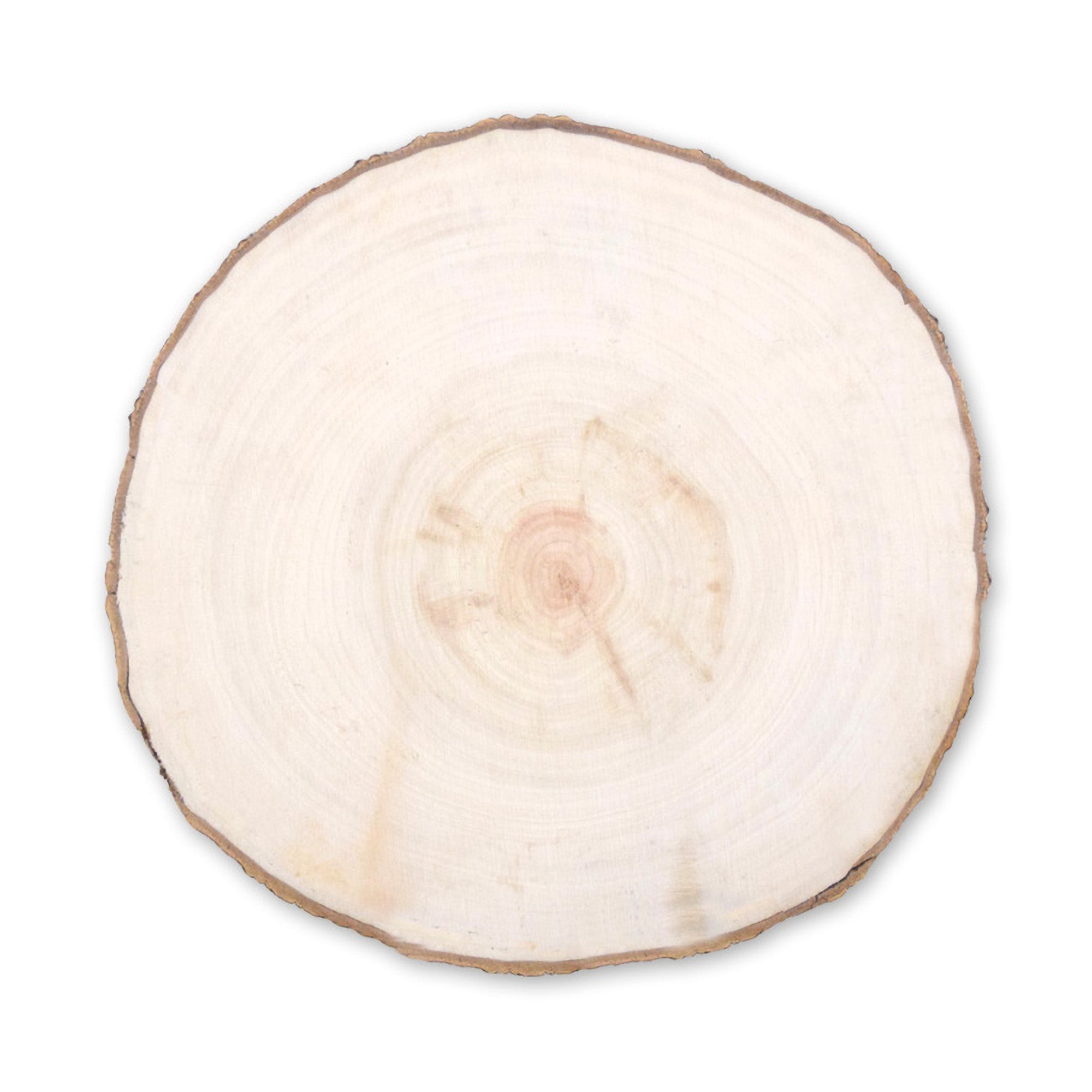 Natural Birch Slice - 18-20 cm &VerticalLine; DeSerres