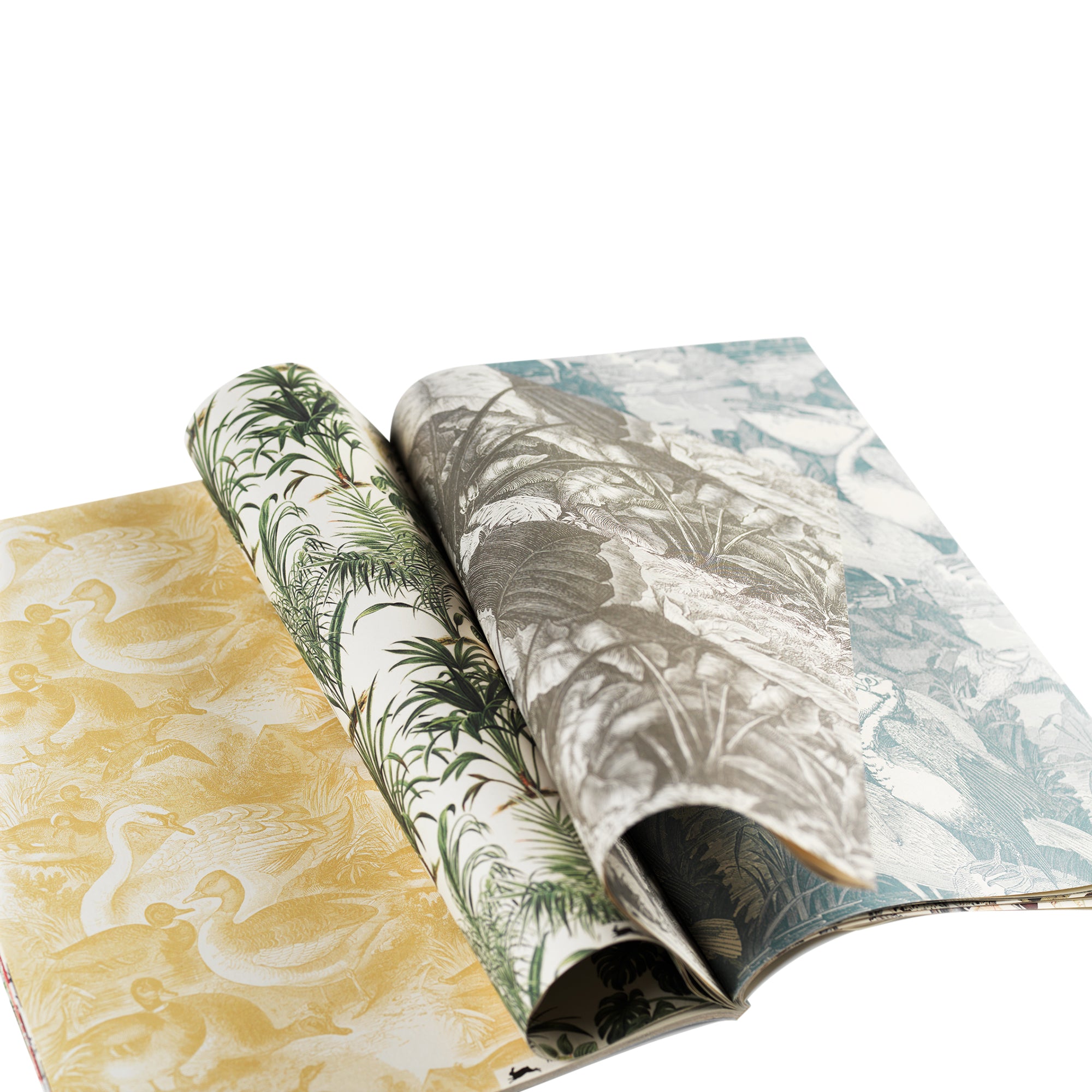 Gift & Creative Paper Book - Natural History &VerticalLine; DeSerres