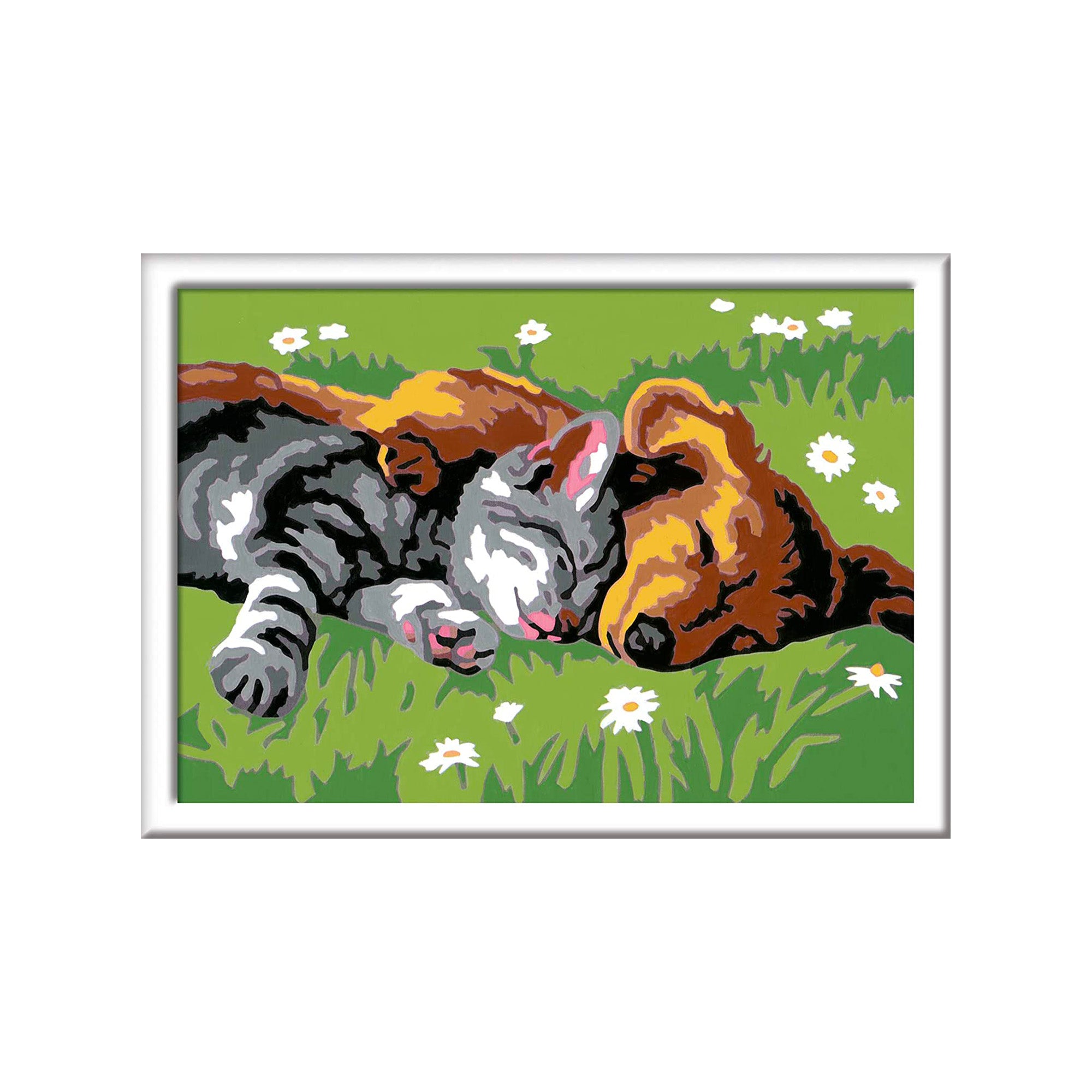 CreArt Kids Paint by Number Kit - Sleeping Cat & Dog &VerticalLine ...