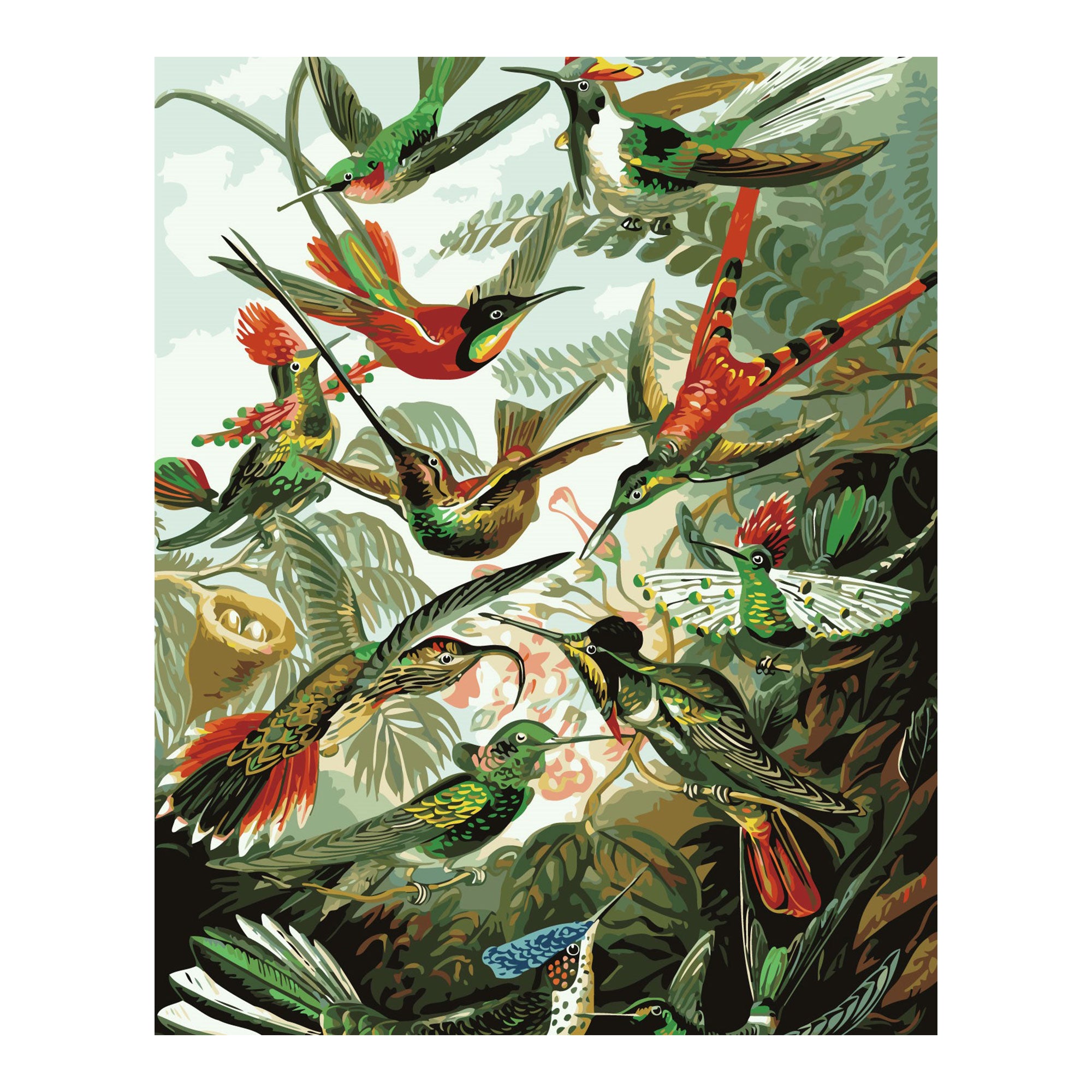 Paint by Numbers Kit - "Hummingbirds, Haeckel" &VerticalLine; DeSerres